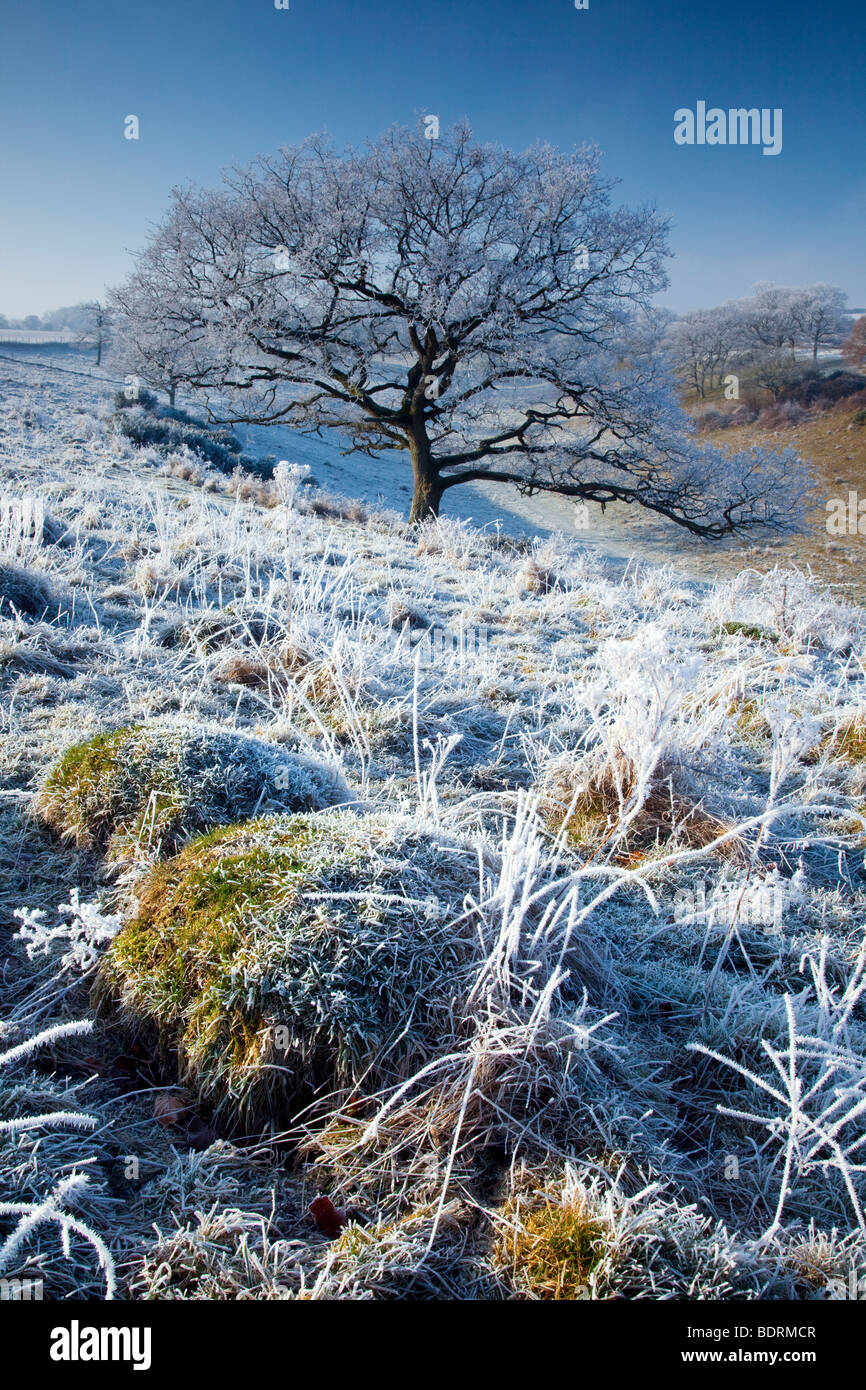 Hard english winter hi-res stock photography and images - Alamy