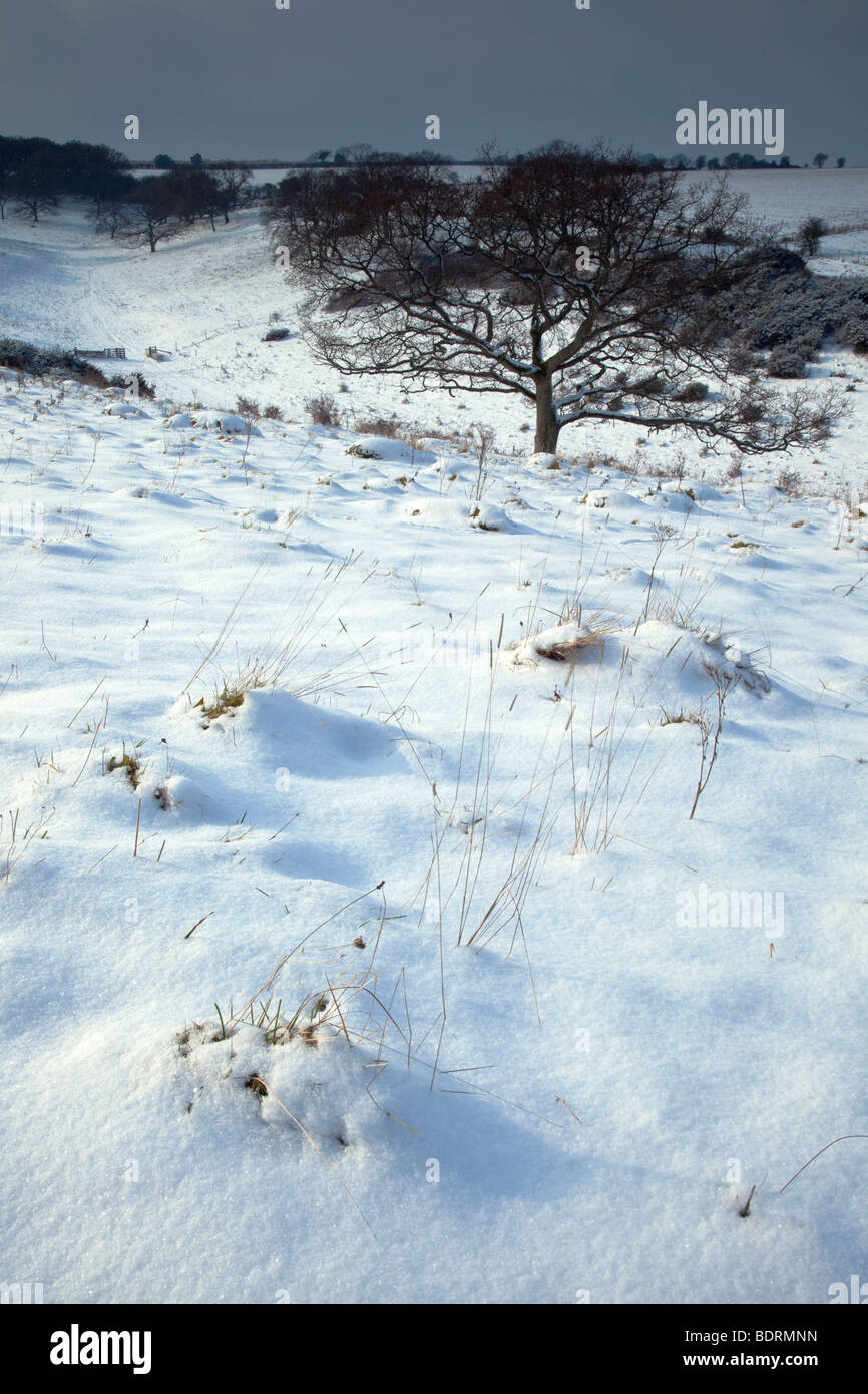 British downland hi-res stock photography and images - Alamy