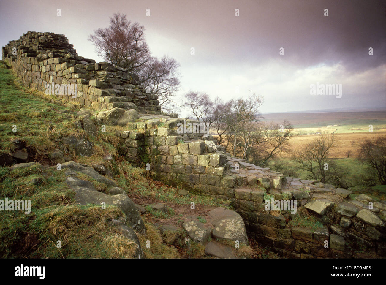 Hadrian's Wall, Cumbria Stock Photo - Alamy