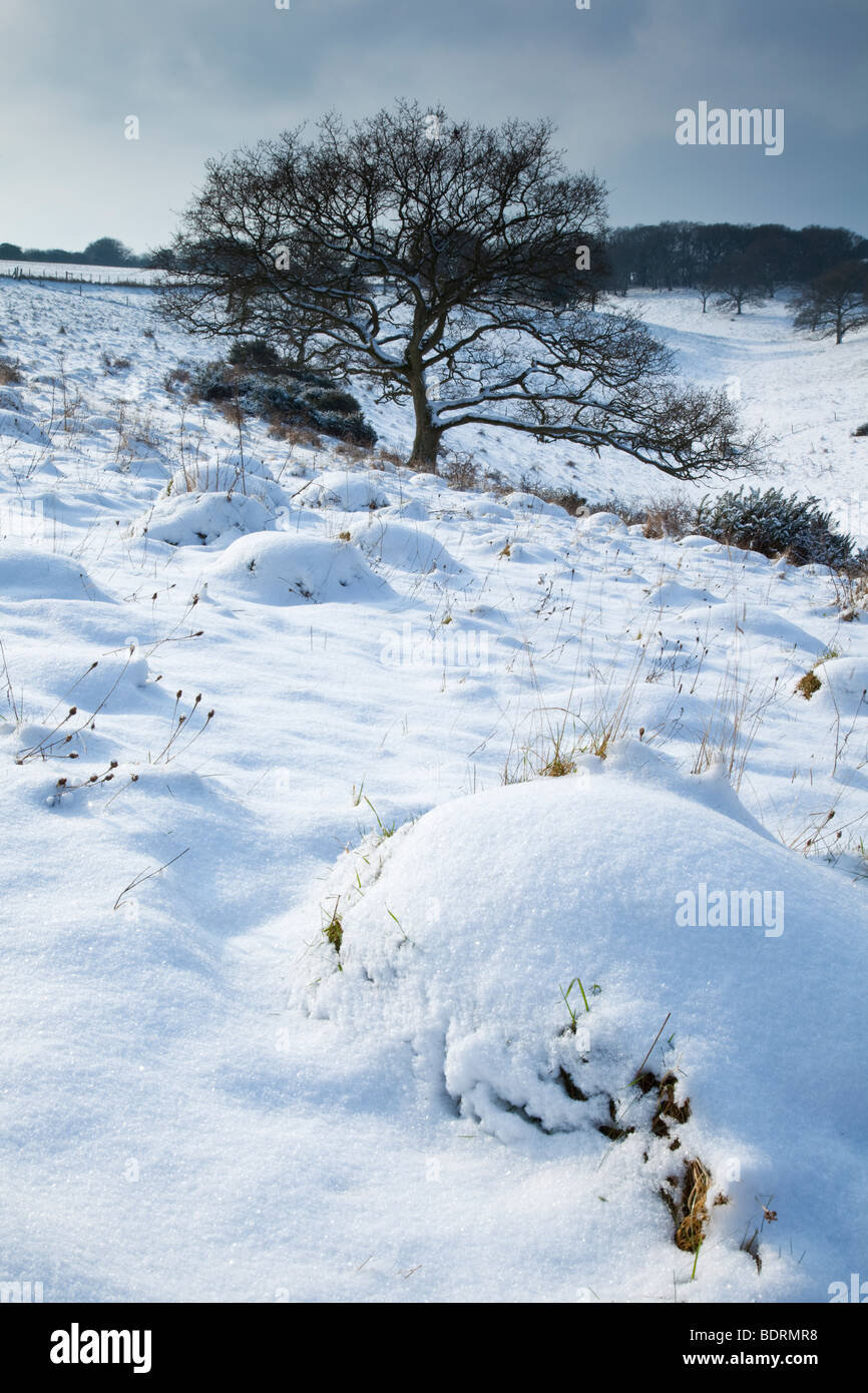 British downland hi-res stock photography and images - Alamy