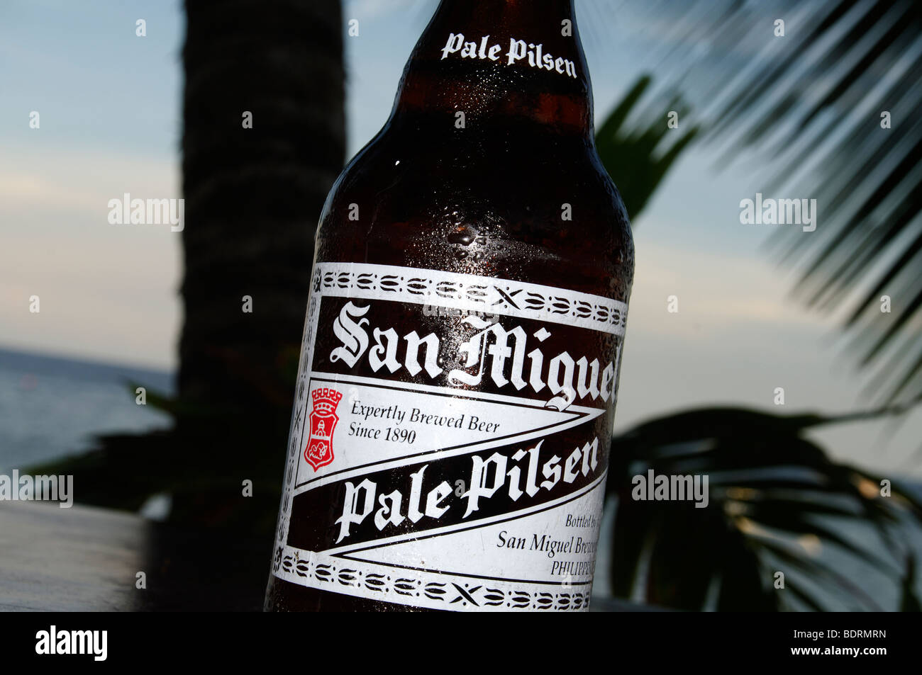 San miguel beer hi-res stock photography and images - Alamy