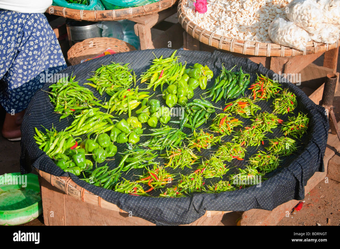 Wholesale Fresh Greenery