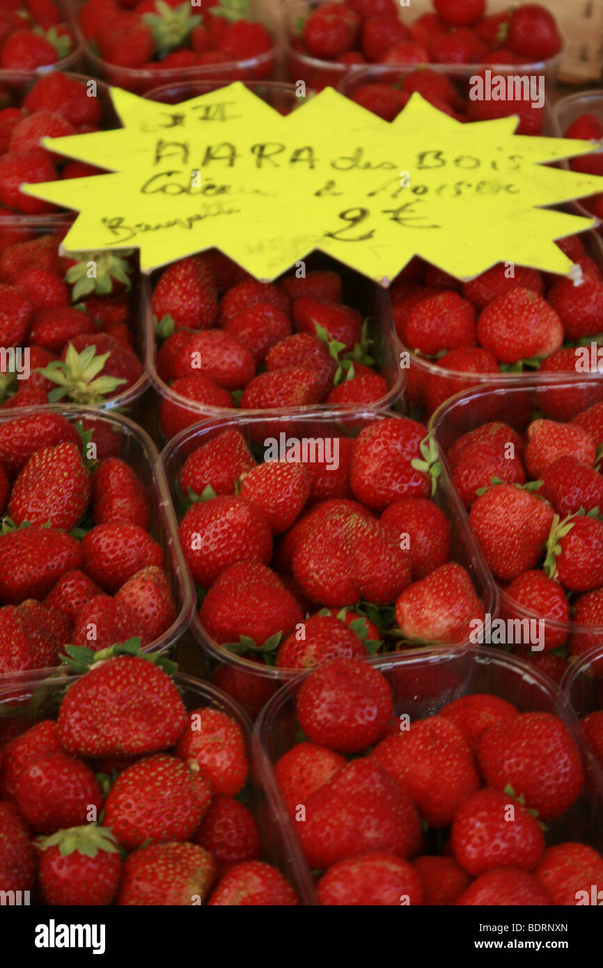 Small local strawberries sold at the weekly market in Lectoure, Gers ...