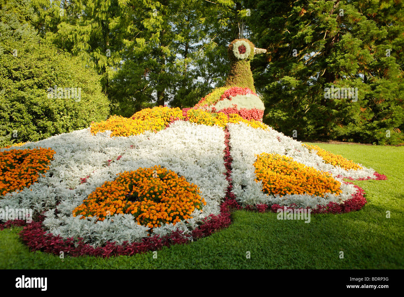 Mainau photos hi-res stock photography and images - Alamy