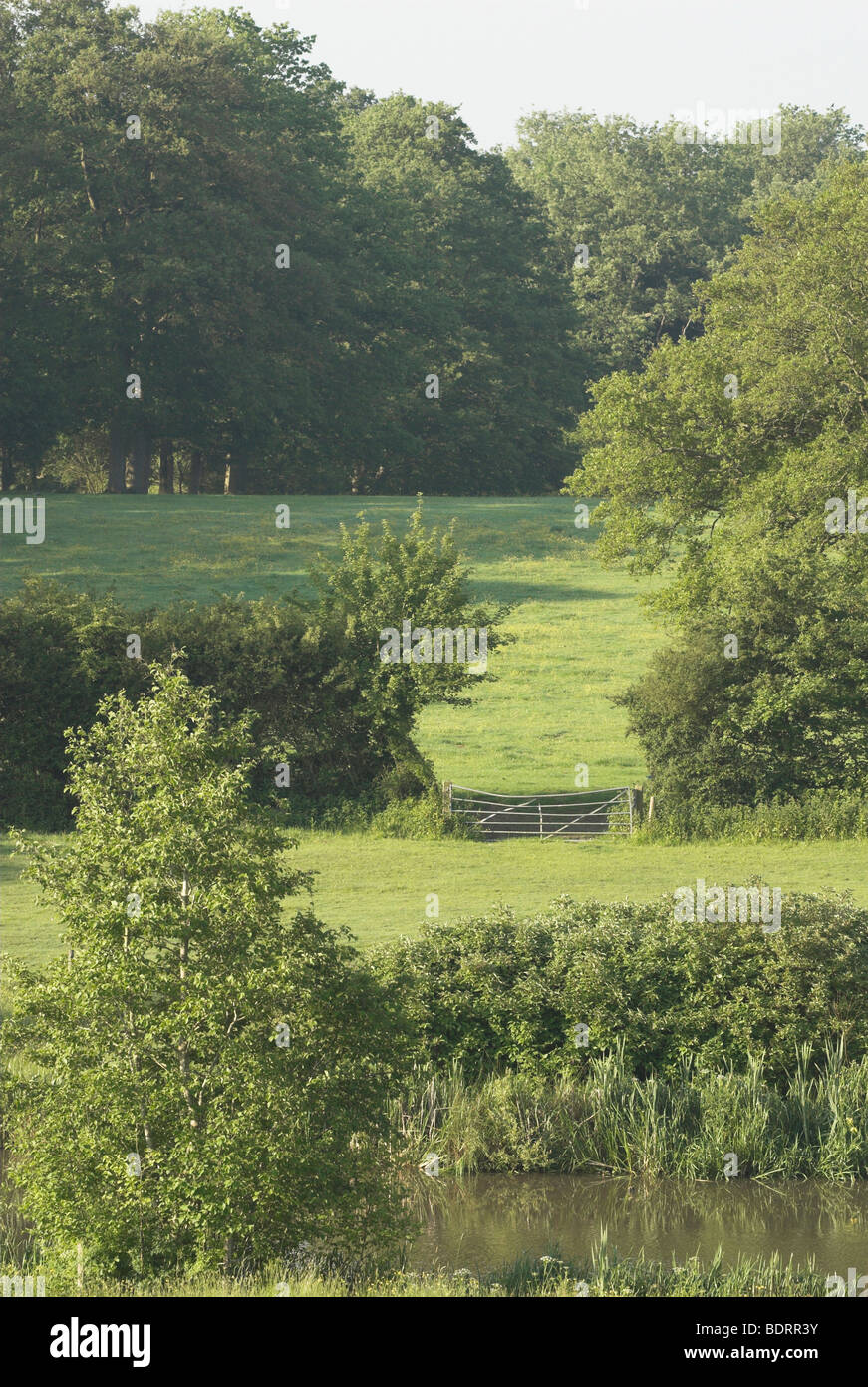 An late spring scene in the heart of the Sussex Weald Stock Photo - Alamy