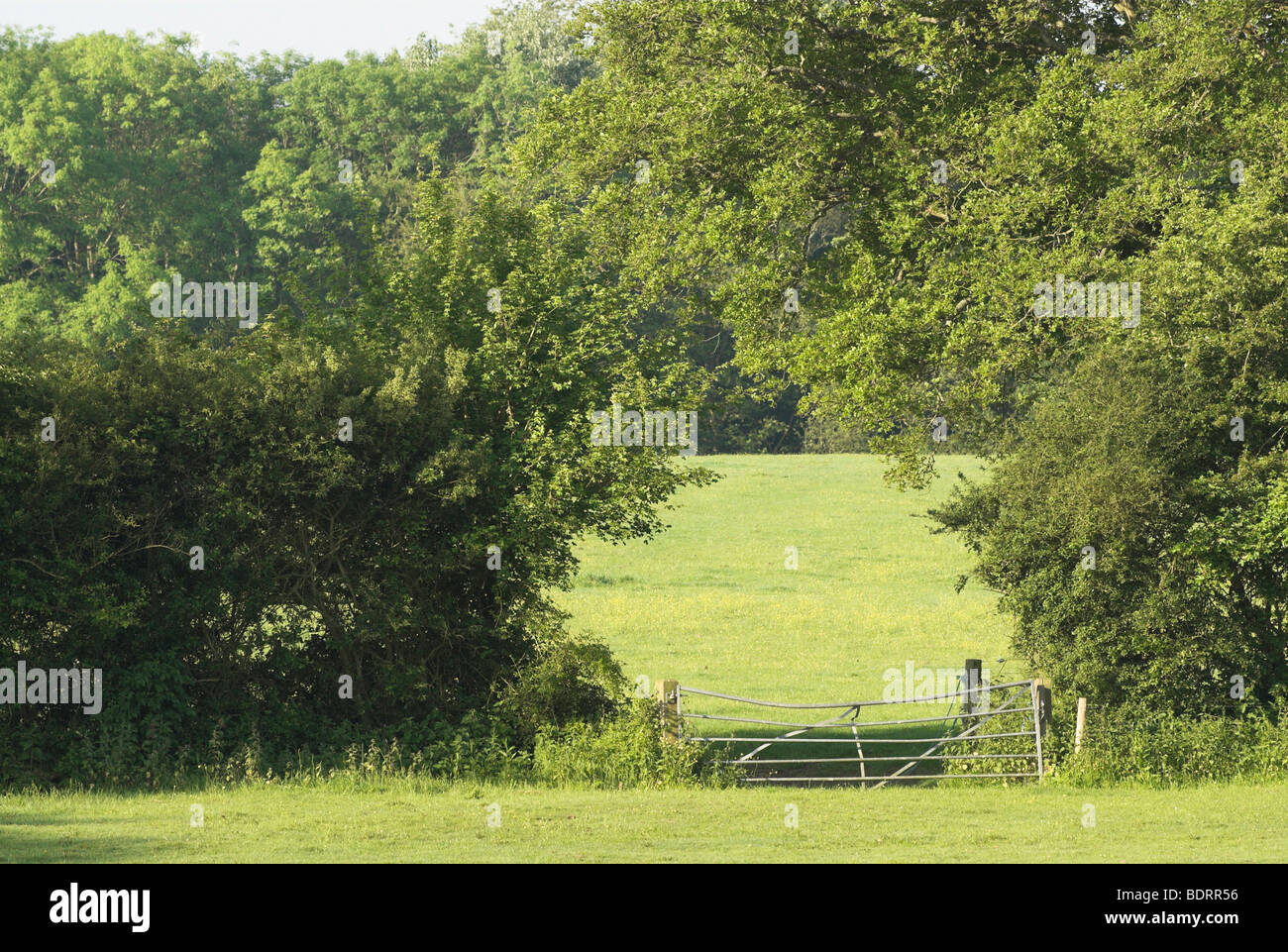 The weald in spring hi-res stock photography and images - Alamy