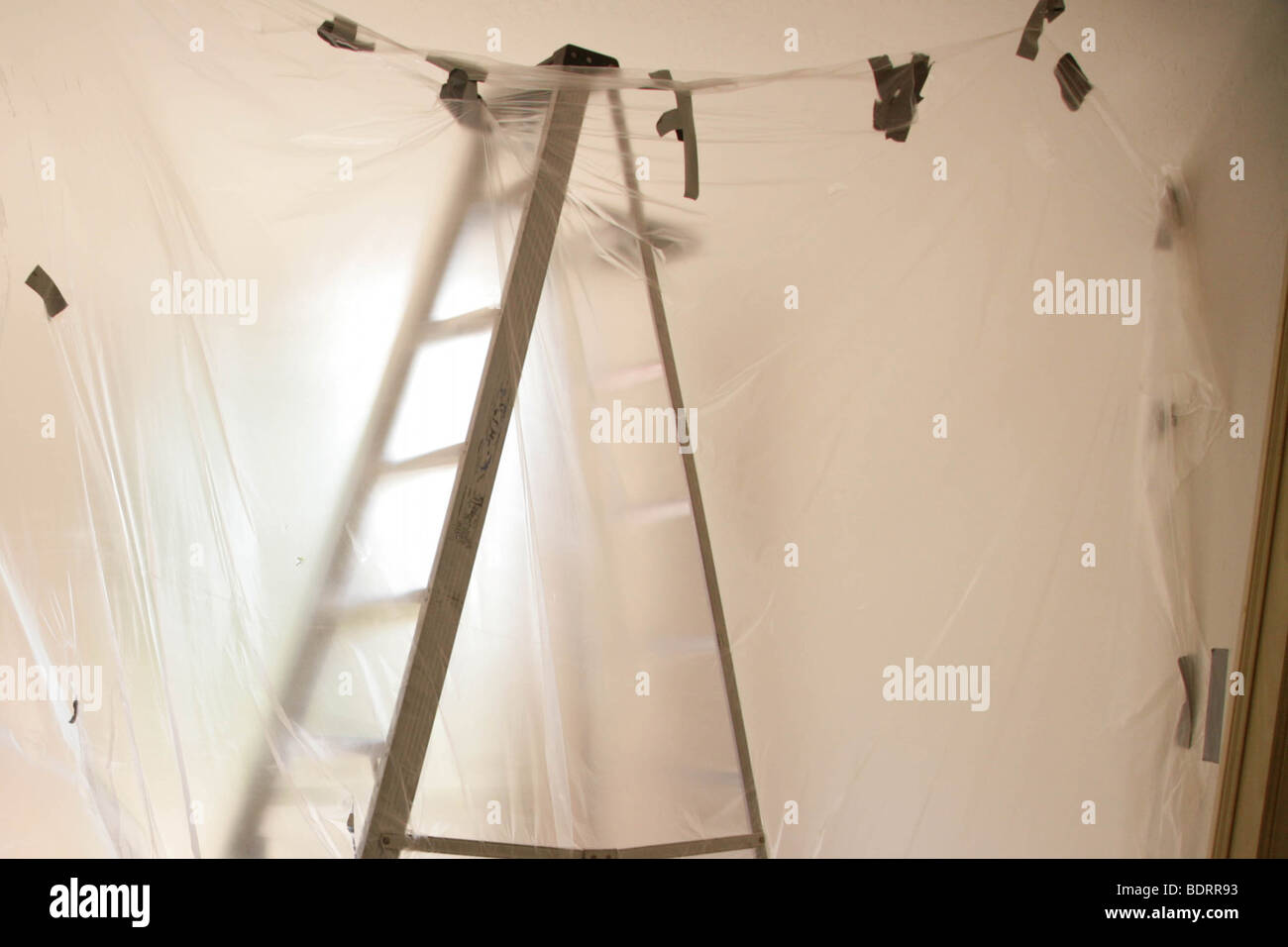 Translucent sheet hi-res stock photography and images - Alamy