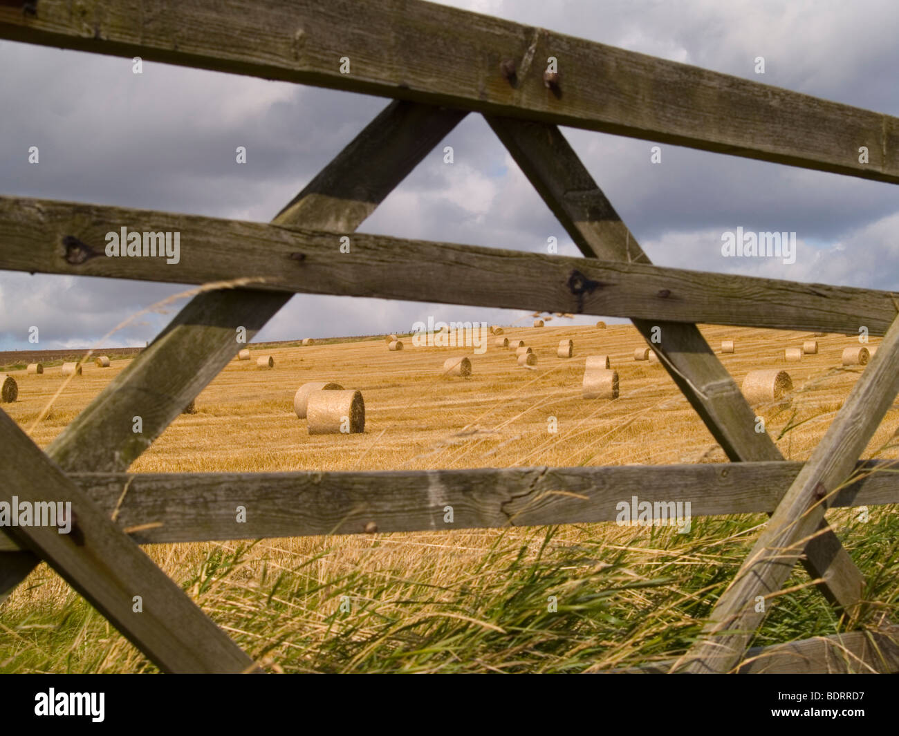 Traditional wooden gate hi-res stock photography and images - Alamy