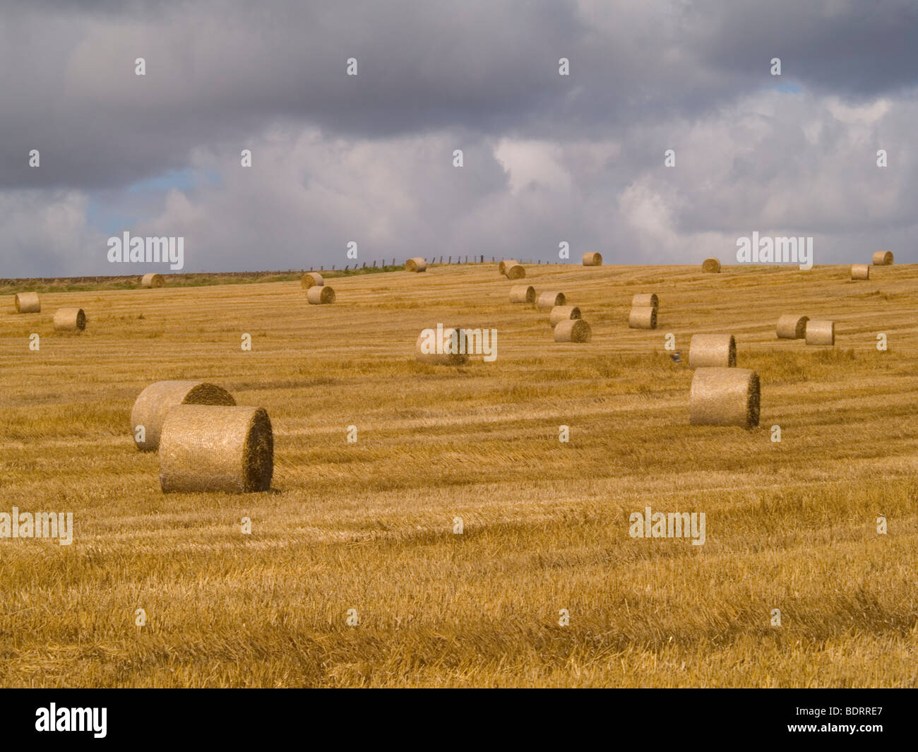 Littered field hi-res stock photography and images - Alamy