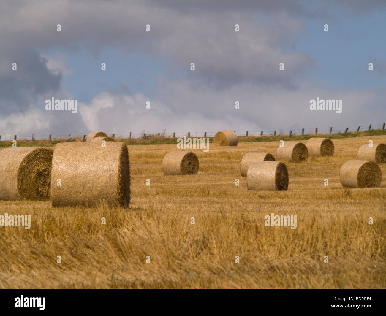 A close up view of the bales from the harvest Stock Photo - Alamy