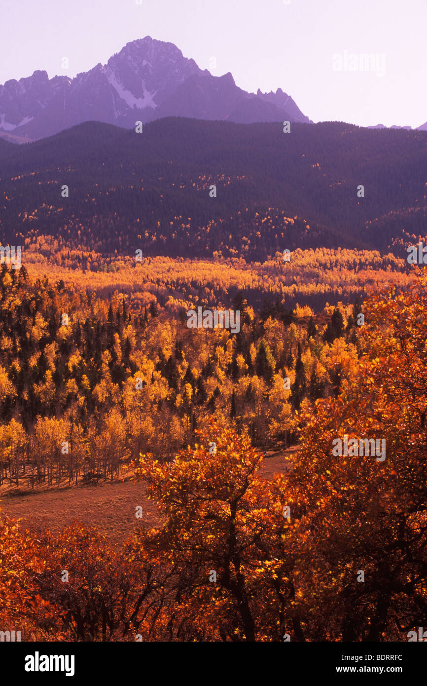 fall aspen, Sneffels Range, San Juan Mountains, Colorado Stock Photo ...