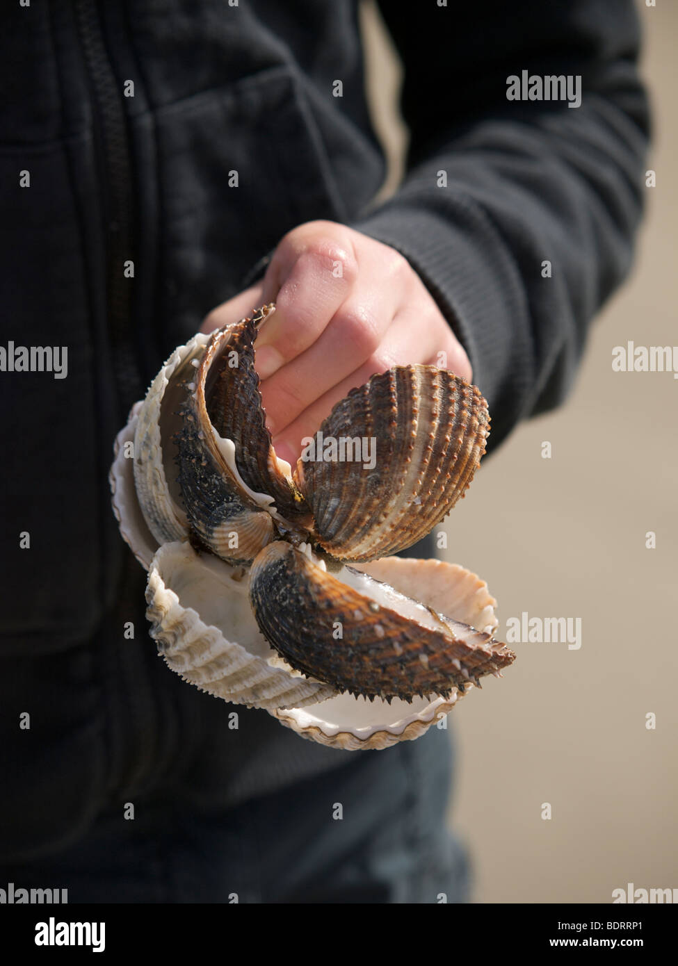 Finding shapes hi-res stock photography and images - Alamy