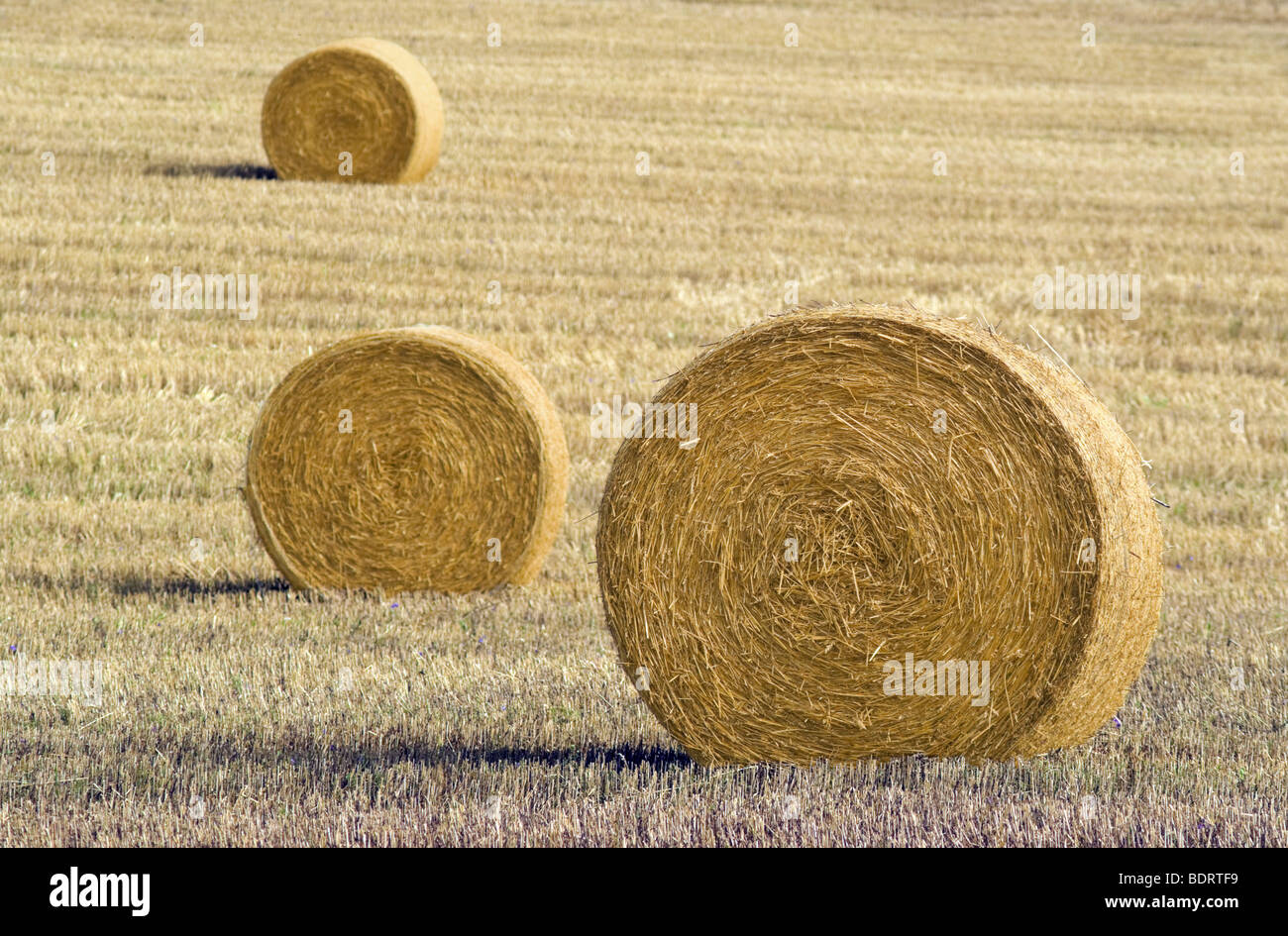 Three straw bales in hi-res stock photography and images - Alamy