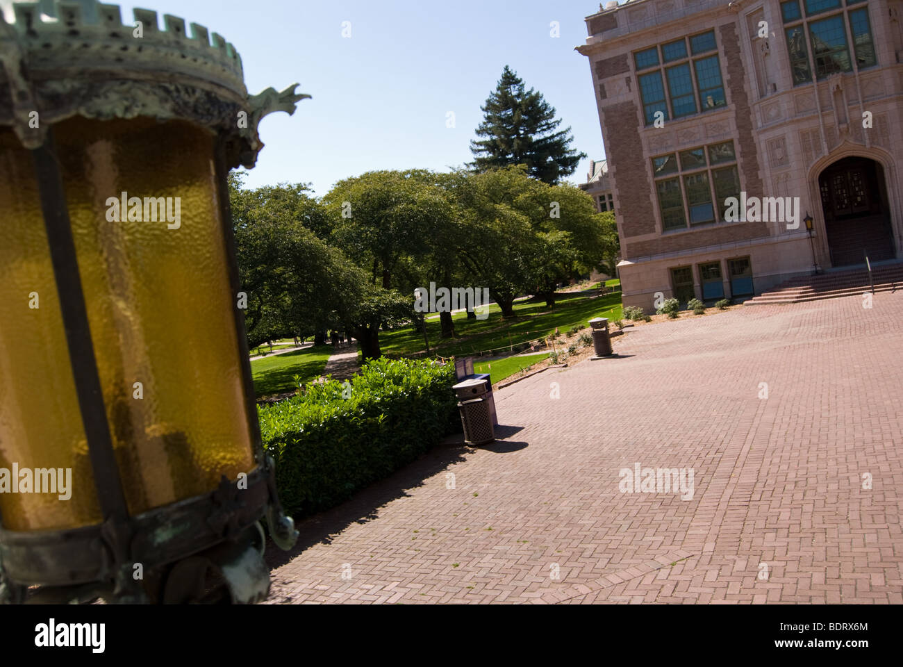 Savery Hall and the cherry trees at the University of Washington's ...