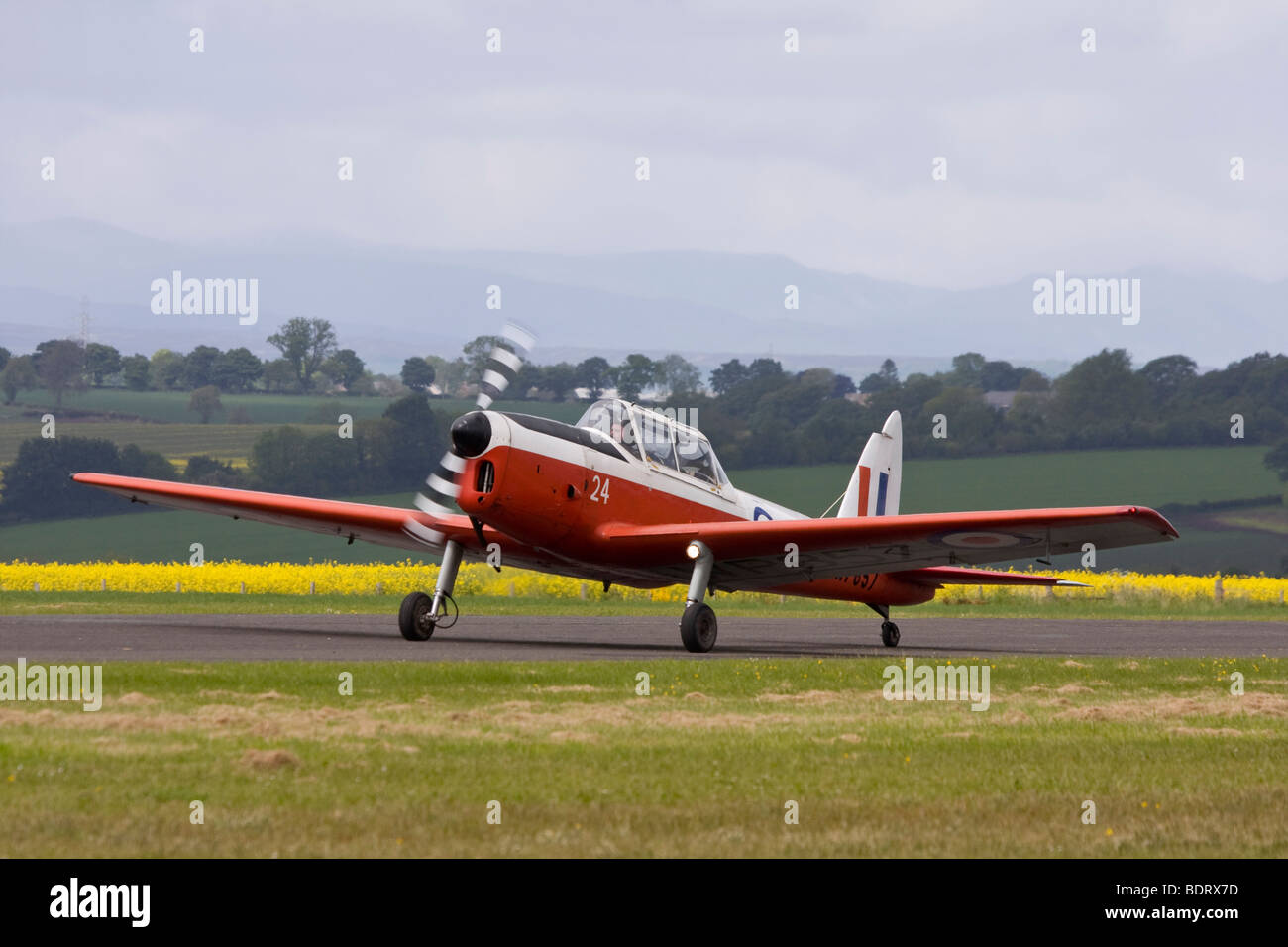 Flying chipmunks hi-res stock photography and images - Alamy