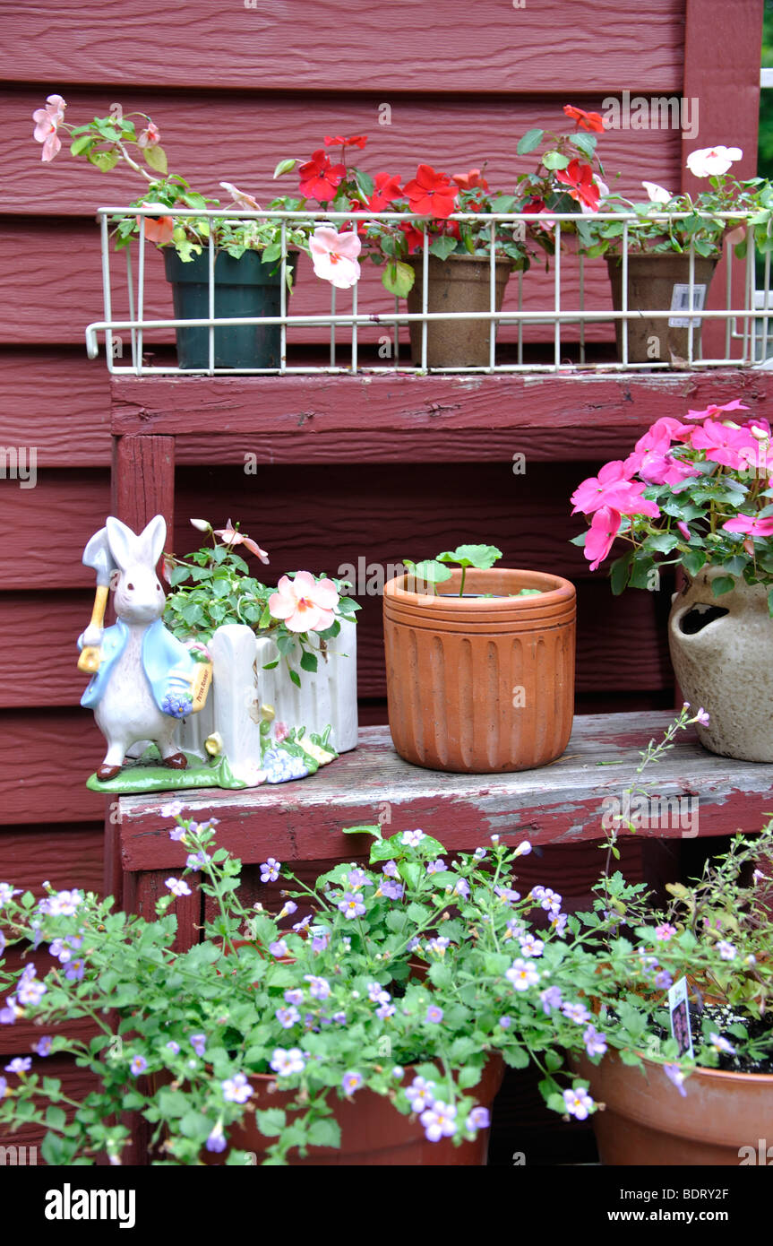 Peter Rabbit plant pot in small flower garden Stock Photo - Alamy