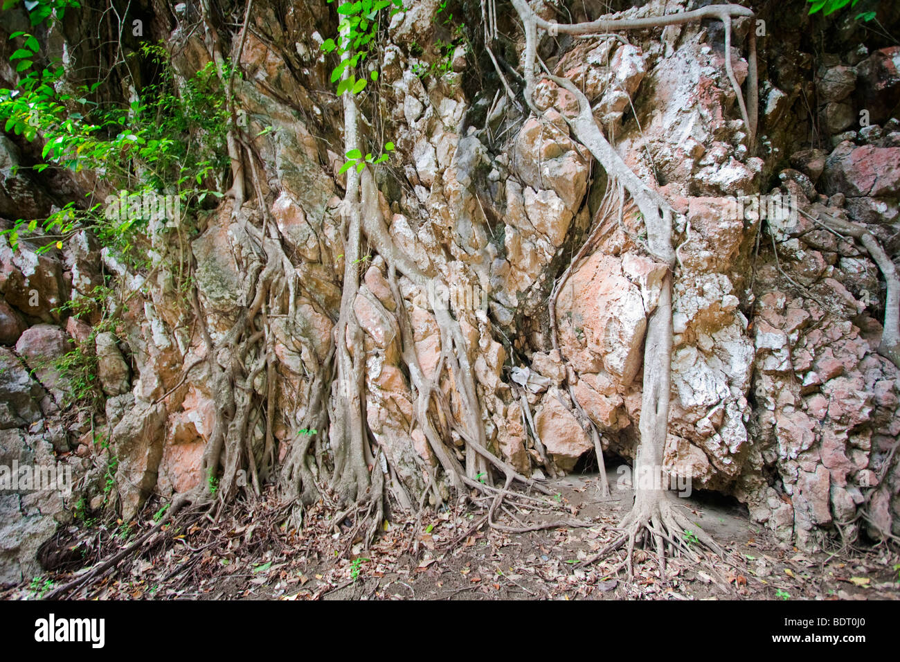 Tourist destination cebu hi-res stock photography and images - Alamy