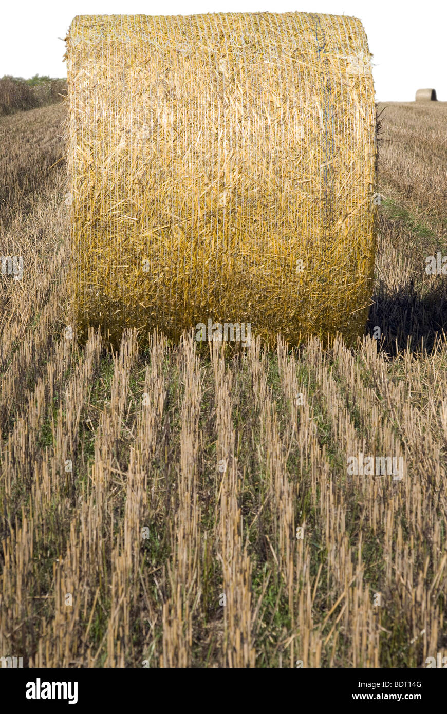 Rolled hay bale close hi-res stock photography and images - Alamy
