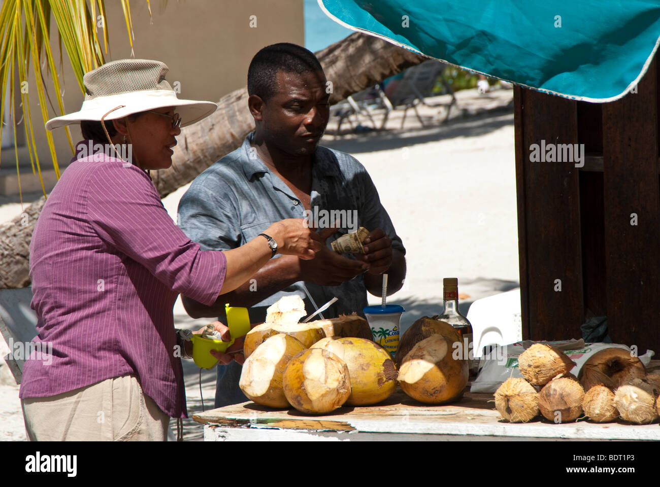 A Caribbean islander prepares coconuts ready for sale Stock Photo - Alamy