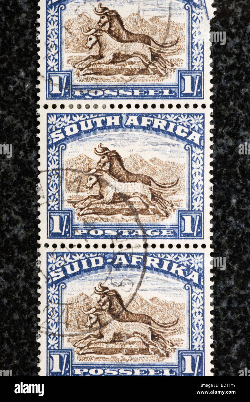 South Africa Postage Stamp High Resolution Stock Photography and Images ...