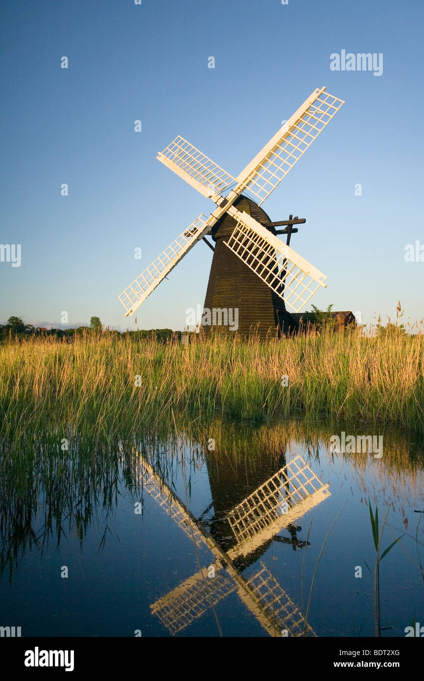 Walkers norfolk windmill hi-res stock photography and images - Alamy