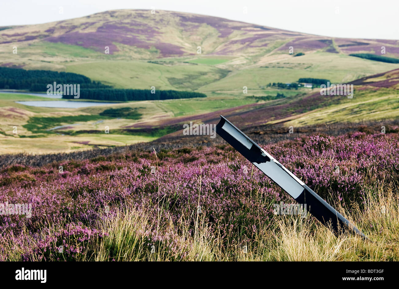 The lammermuir hills. Scottish borders. East lothian Stock Photo - Alamy