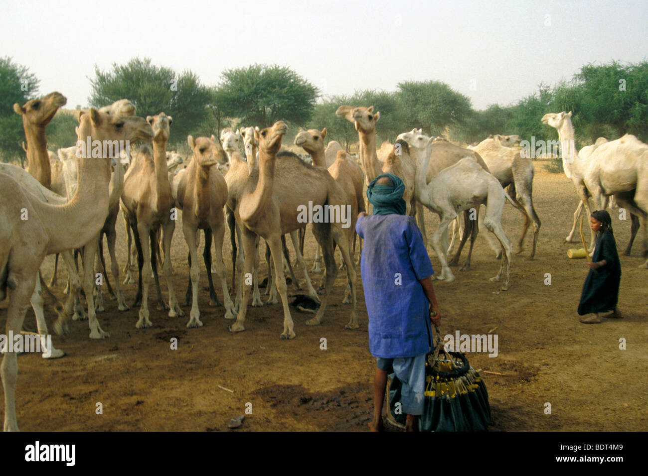 Young tuareg woman hi-res stock photography and images - Alamy