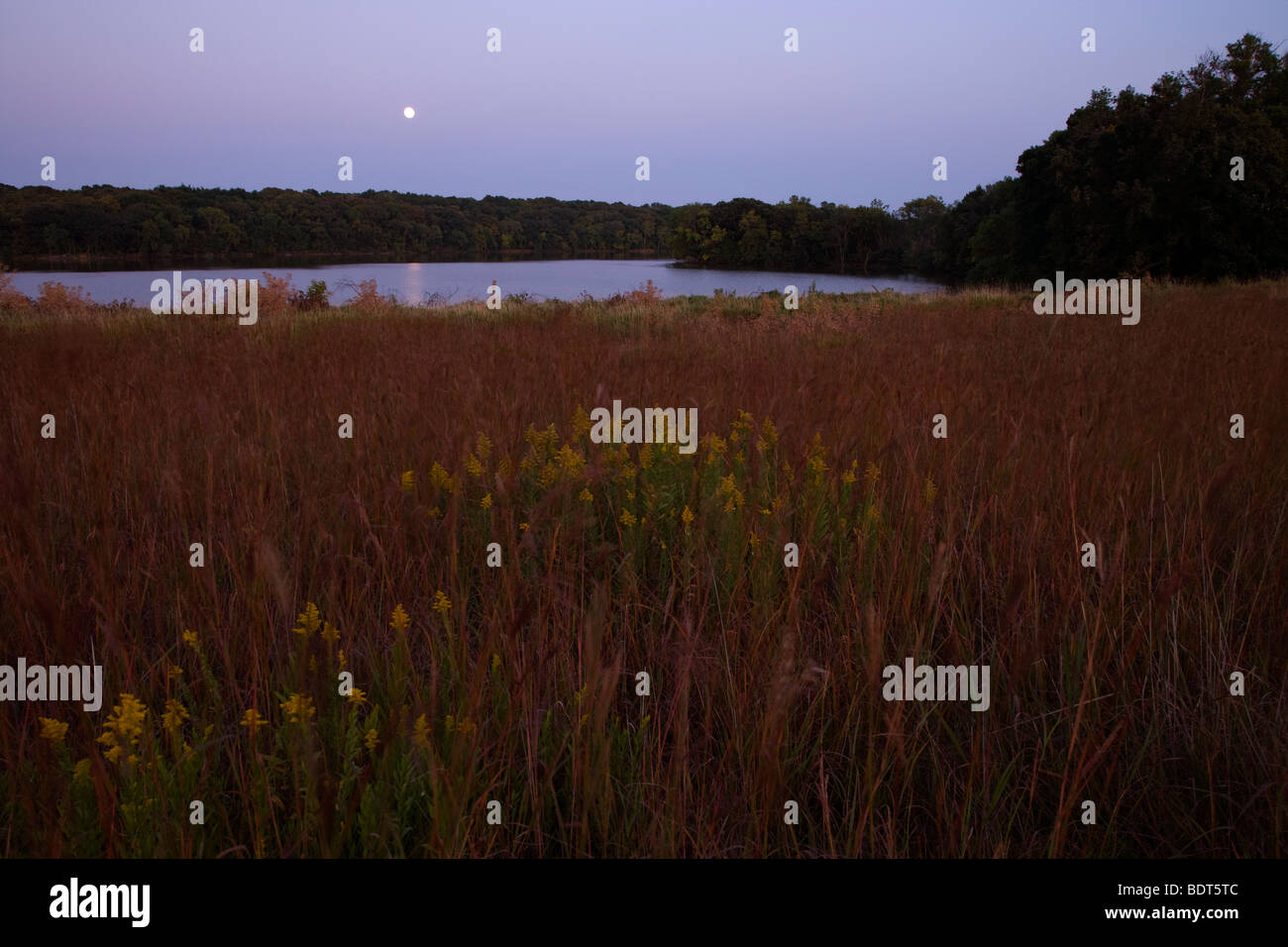 Moonrise night nighttime hi-res stock photography and images - Alamy
