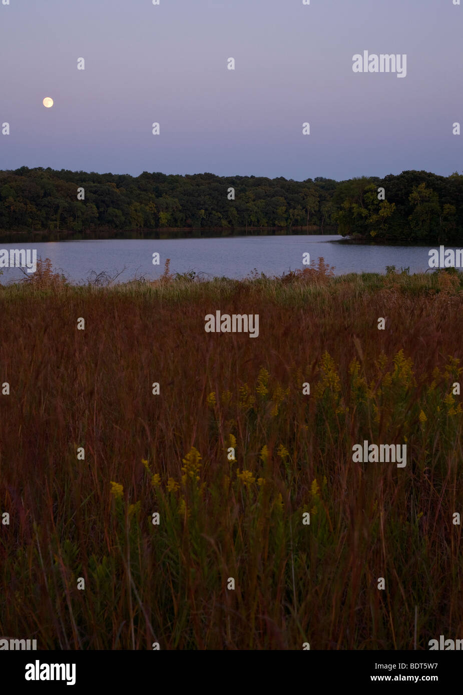 Moonrise night nighttime hi-res stock photography and images - Alamy