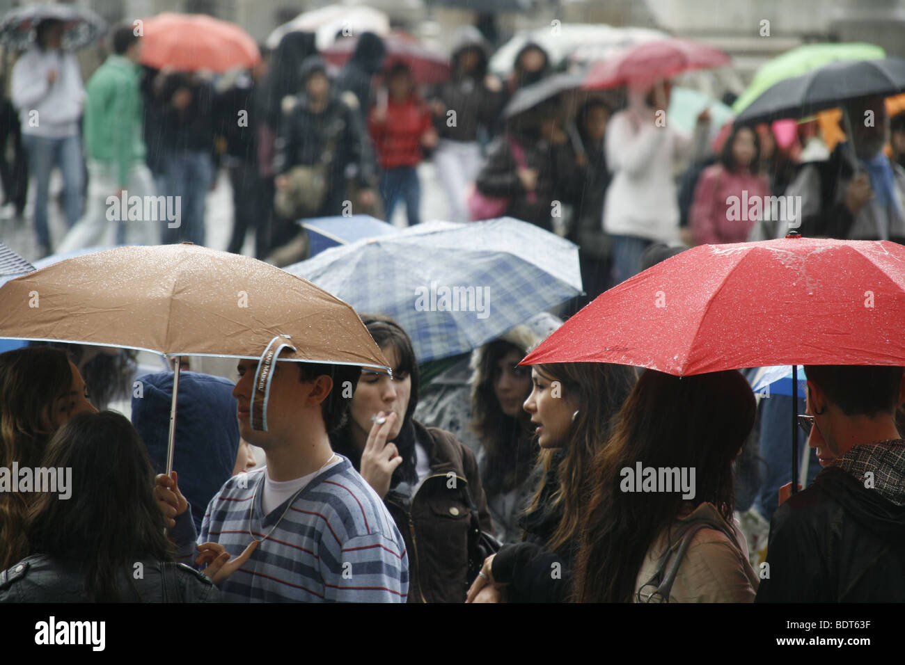 crowd of people with umbrellas in heavy rain in city town Stock Photo ...