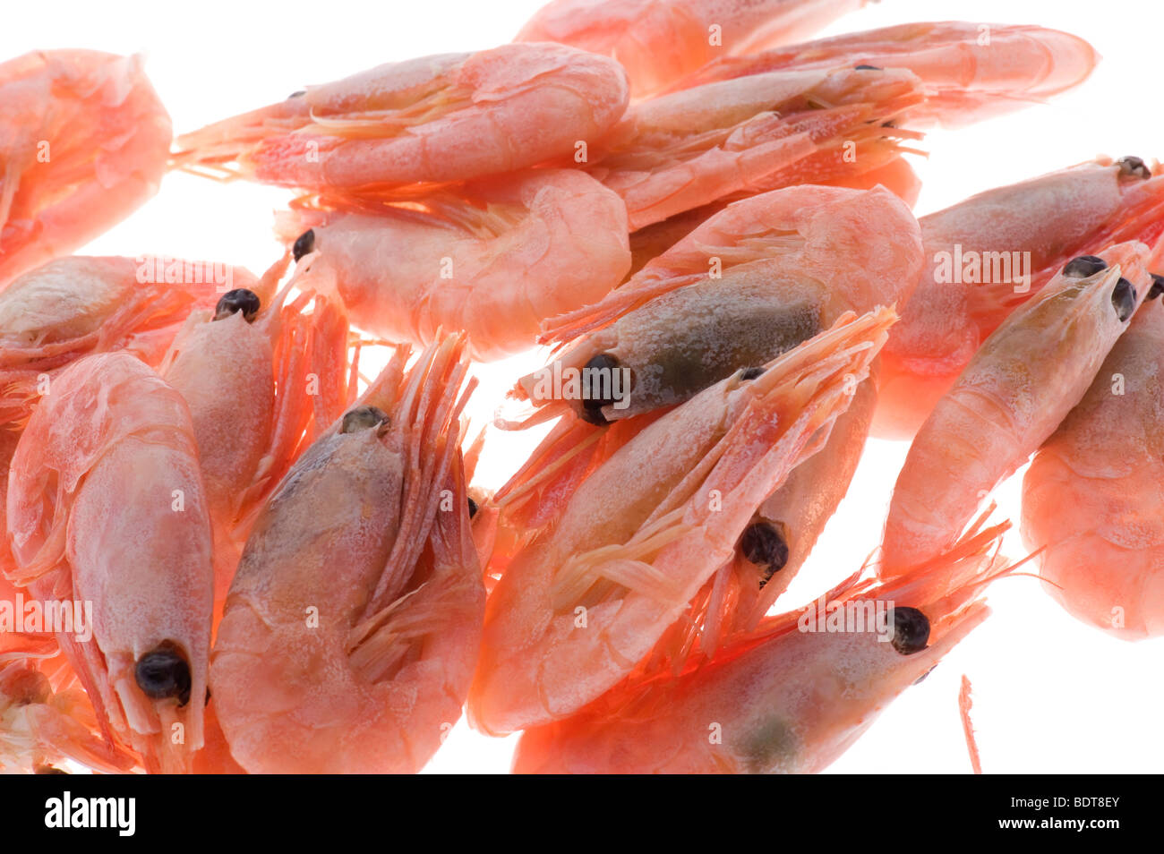 object on white - isolated shrimp close up Stock Photo - Alamy