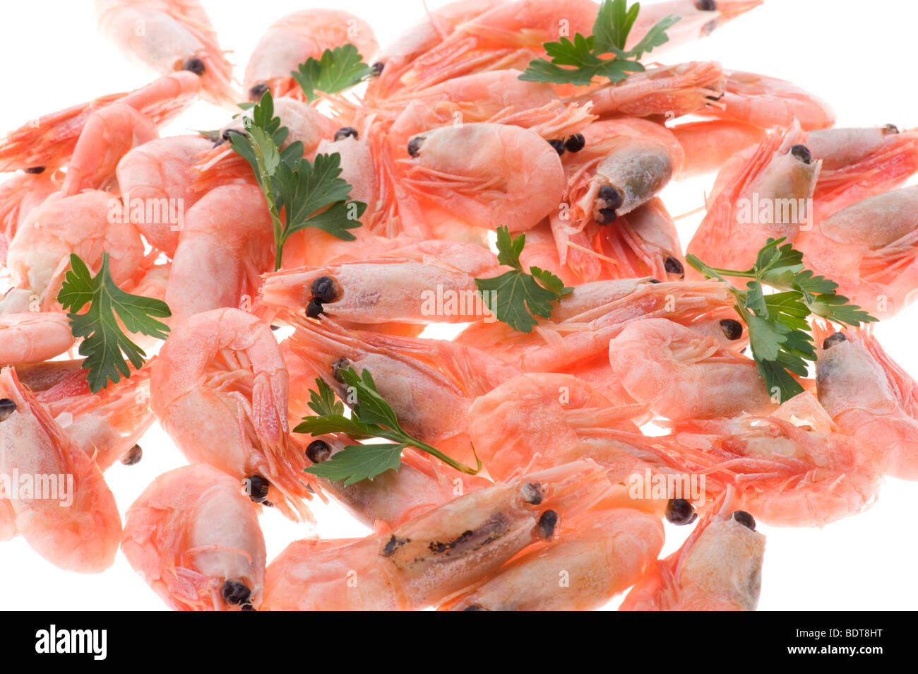 object on white - isolated shrimp close up Stock Photo - Alamy