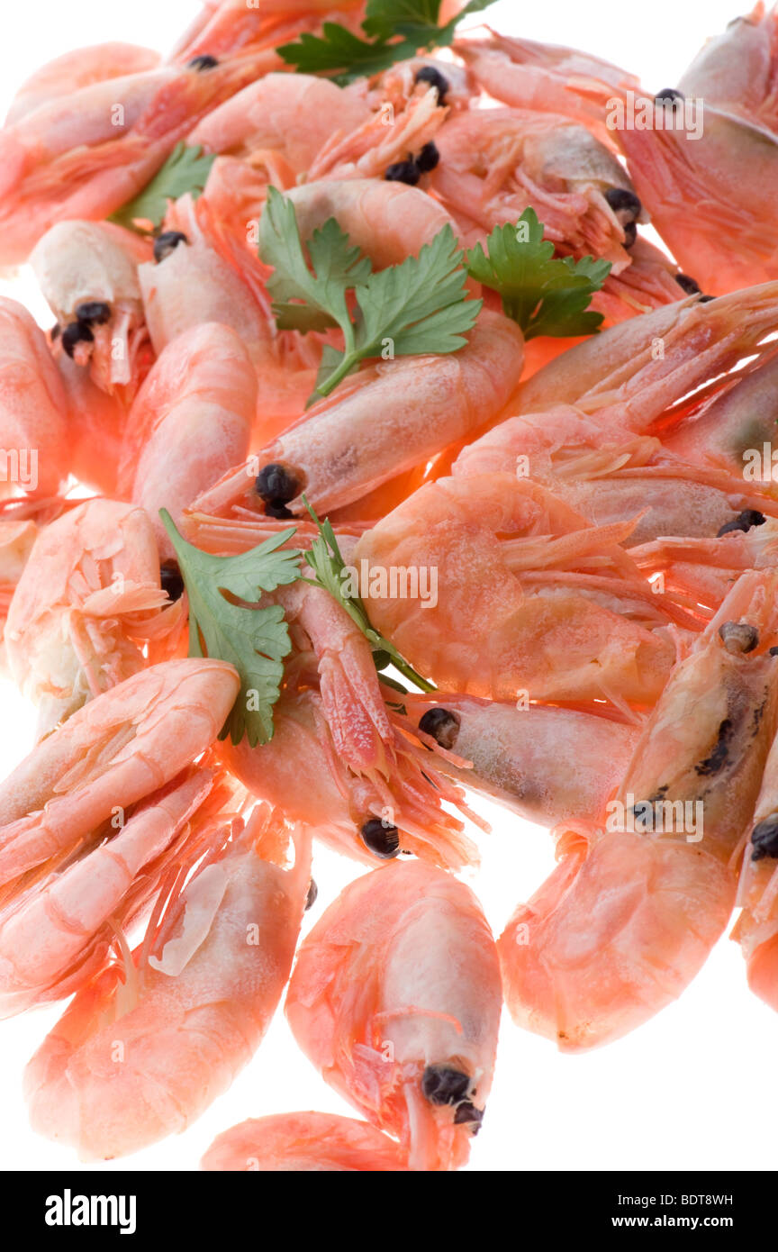 object on white - isolated shrimp close up Stock Photo - Alamy
