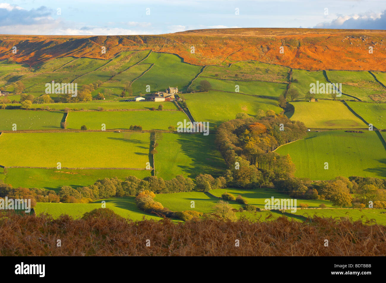 Peat moors hi-res stock photography and images - Alamy