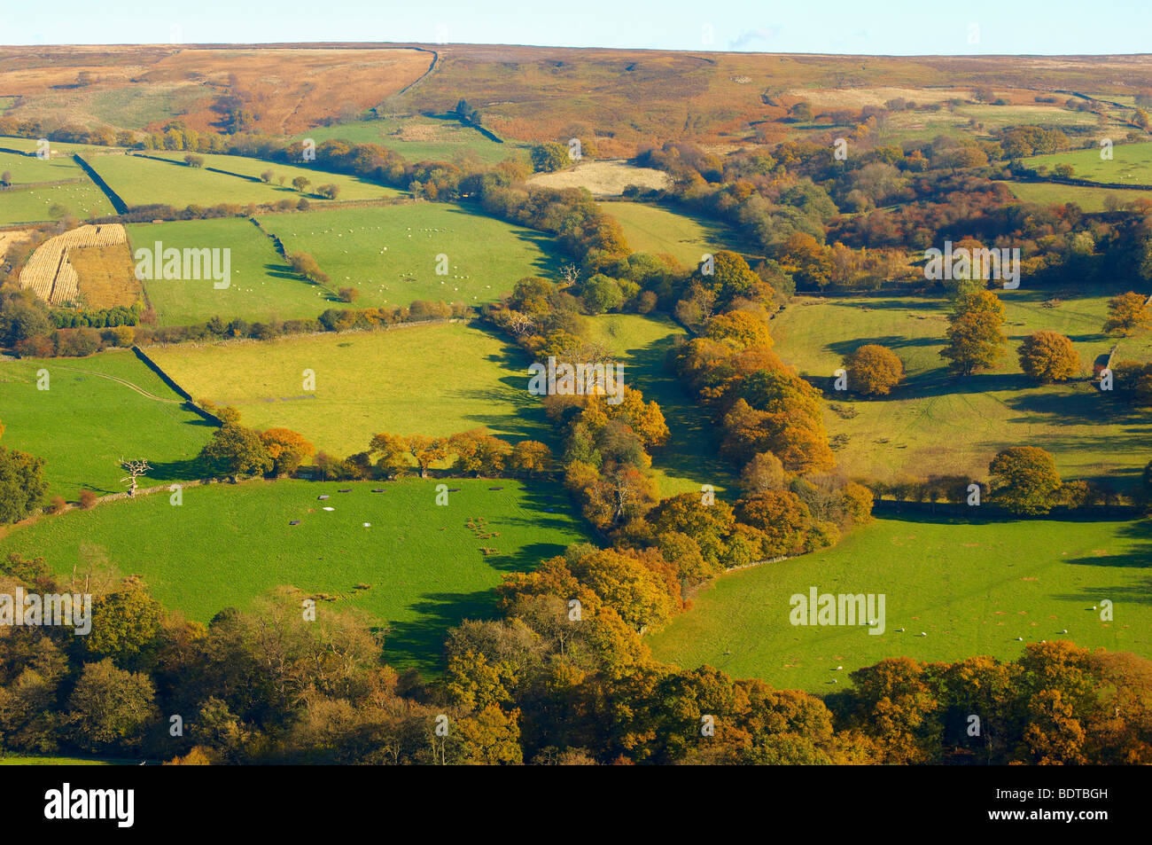 Farndale farm with autumn leaves , North Yorks Moors National Park ...