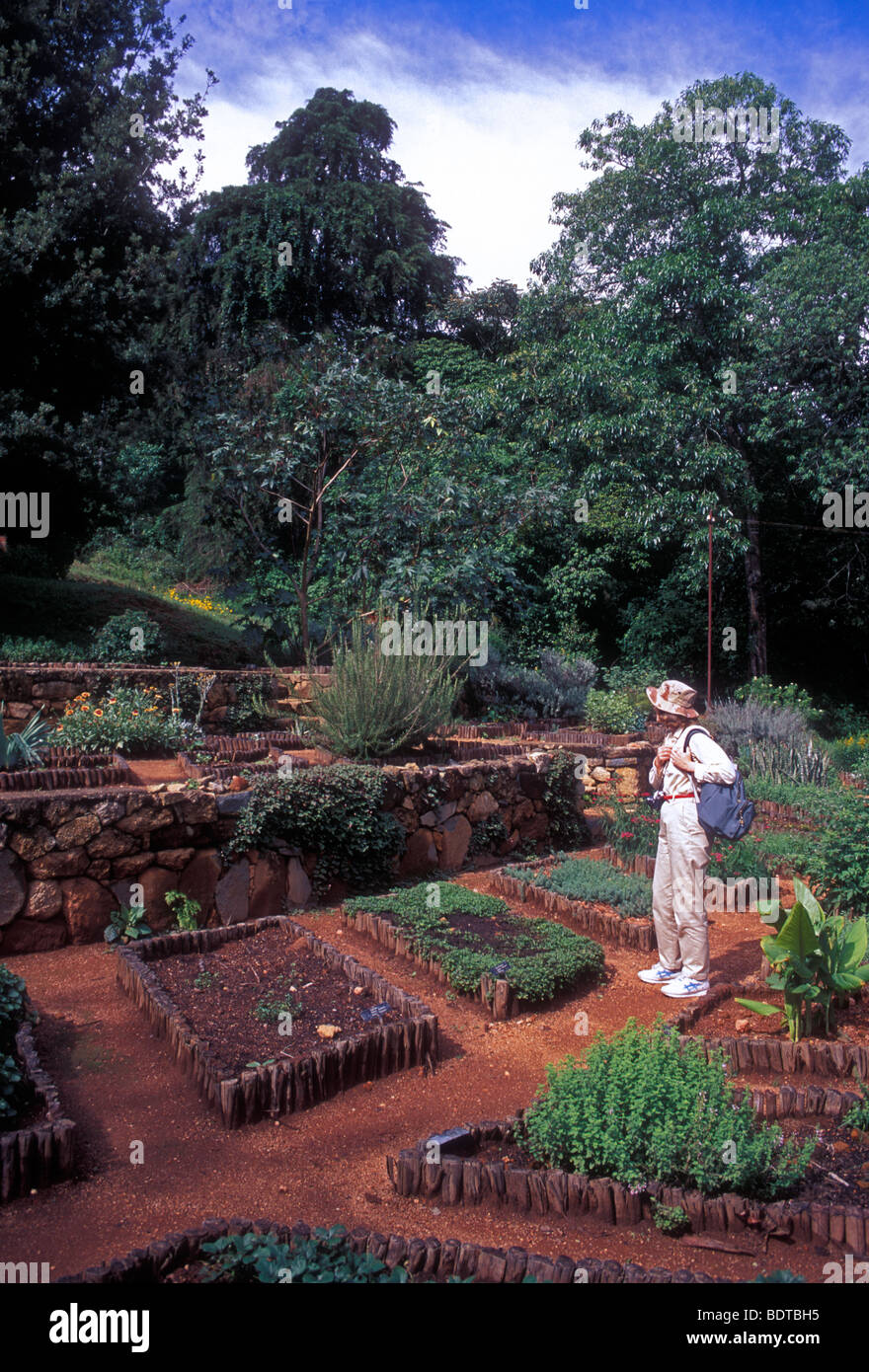 tourist, woman, Vumba Botanical Gardens, Vumba Botanic Gardens ...