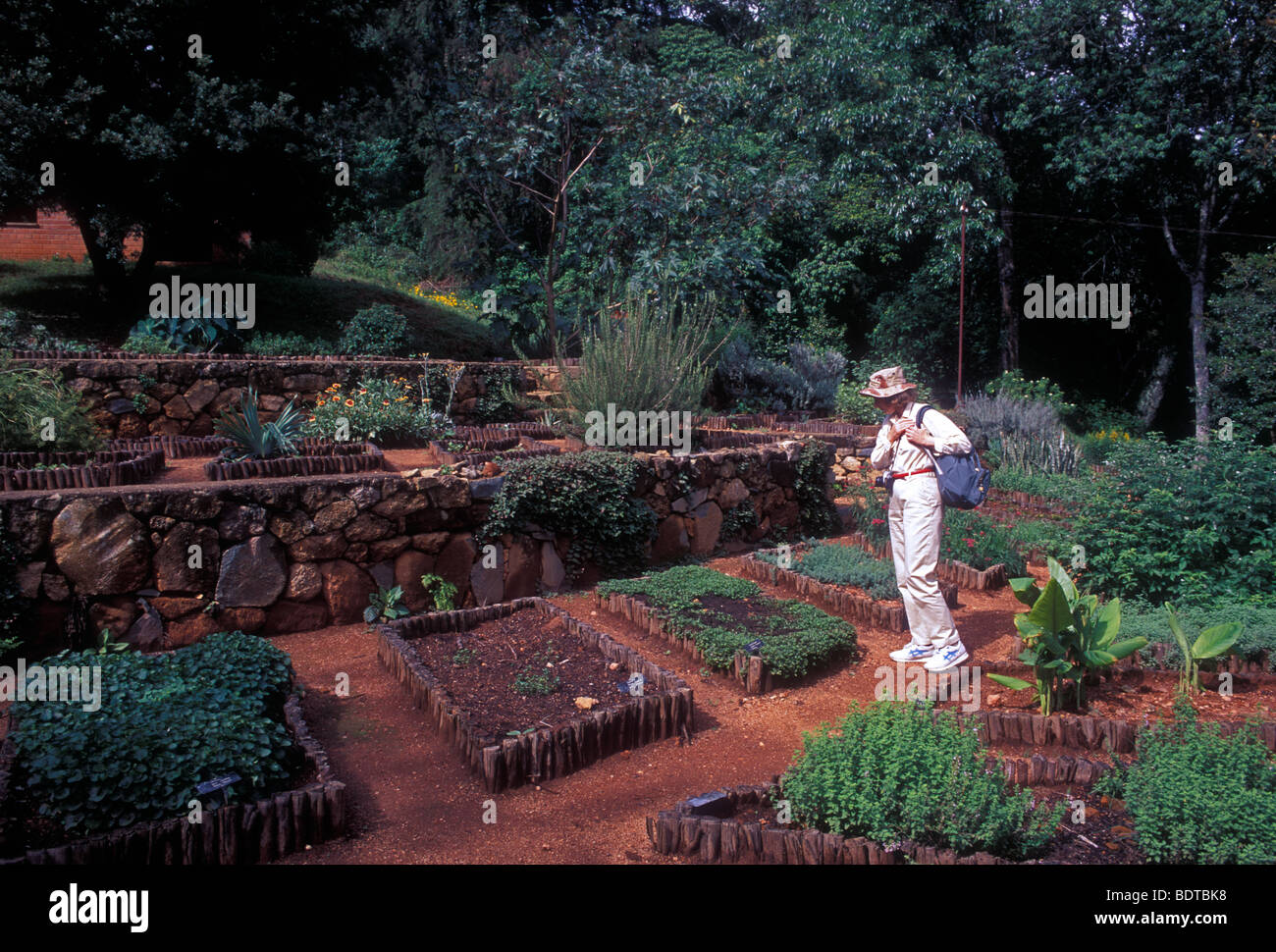 tourist, woman, Vumba Botanical Gardens, Vumba Botanic Gardens ...