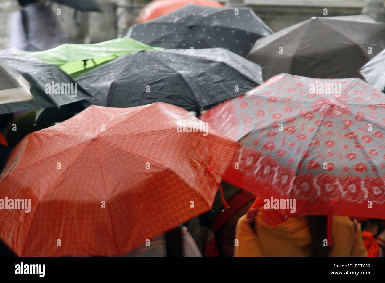 crowd of people with umbrellas in heavy rain in city town Stock Photo ...
