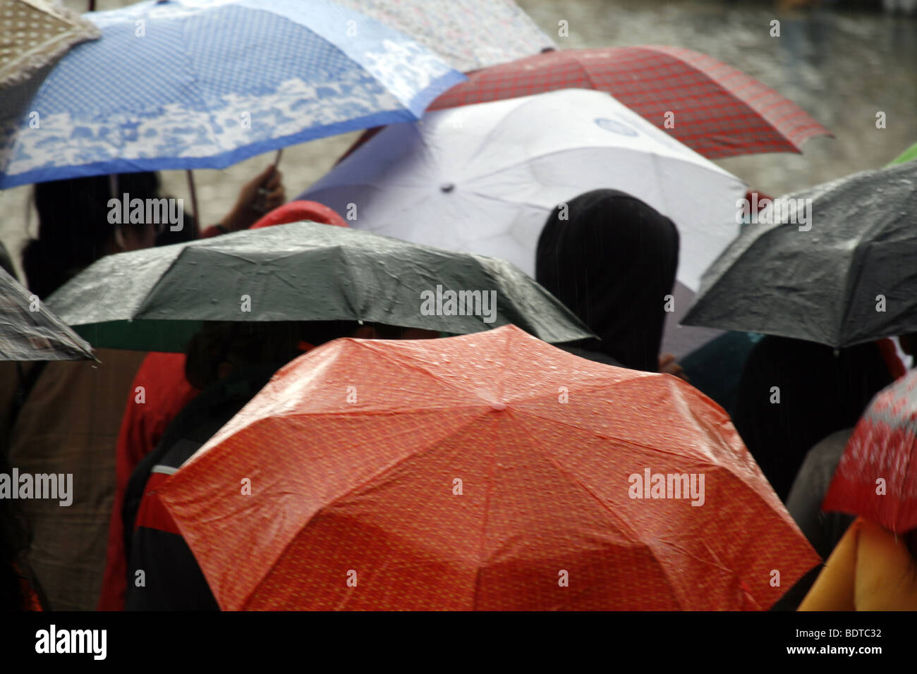 crowd of people with umbrellas in heavy rain in city town Stock Photo ...