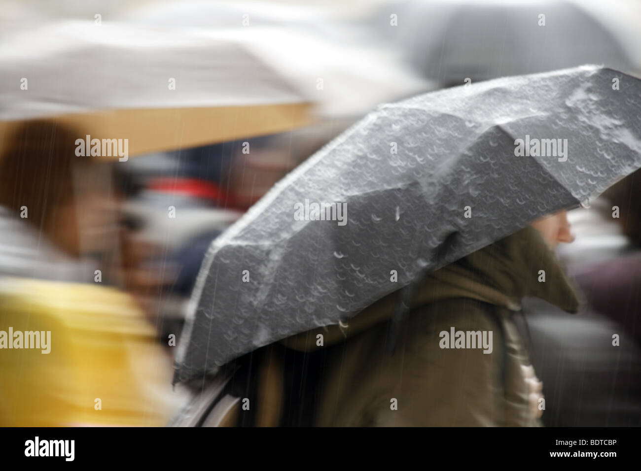 crowd of people with umbrellas in heavy rain in city town Stock Photo ...