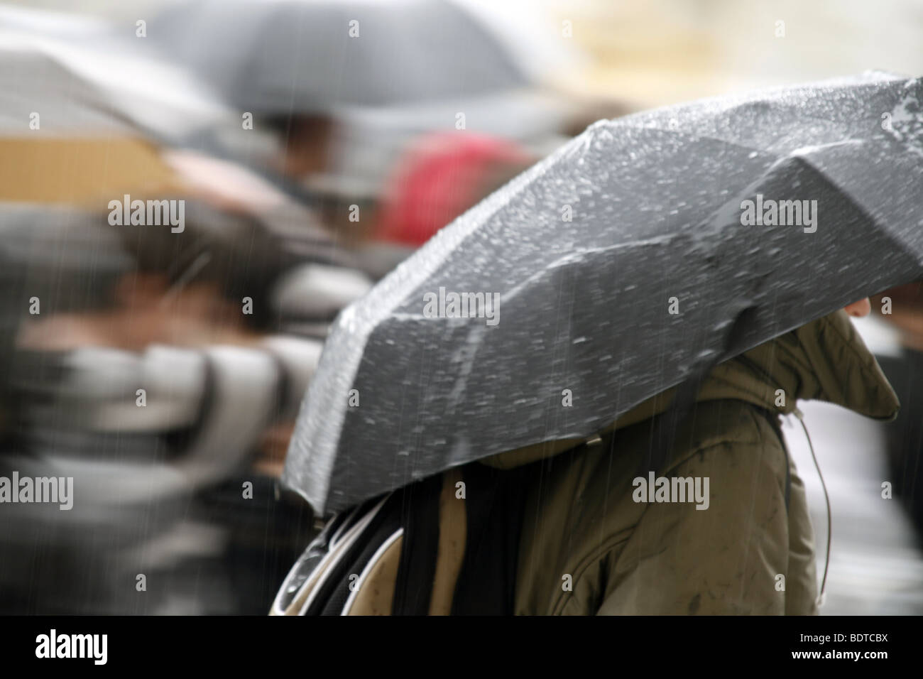 crowd of people with umbrellas in heavy rain in city town Stock Photo ...