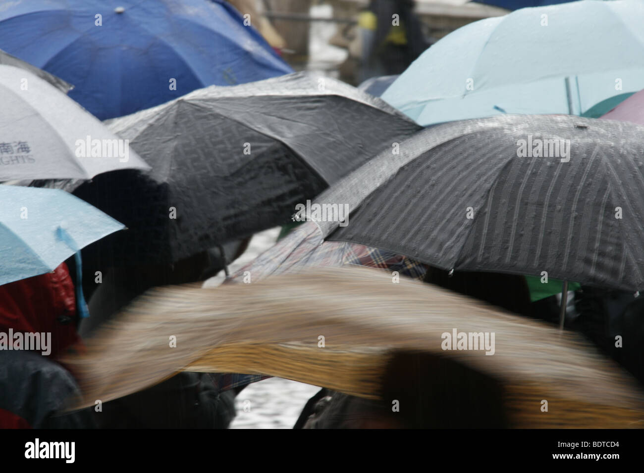 people with umbrellas in heavy rain in city town Stock Photo - Alamy