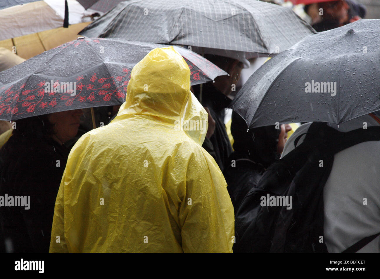 people with umbrellas in heavy rain in city town Stock Photo - Alamy