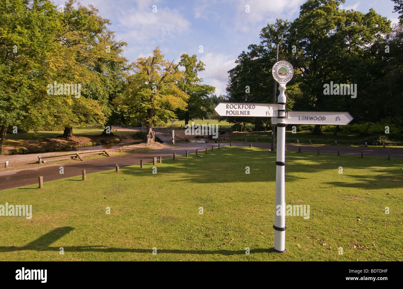 New forest national park hi-res stock photography and images - Alamy