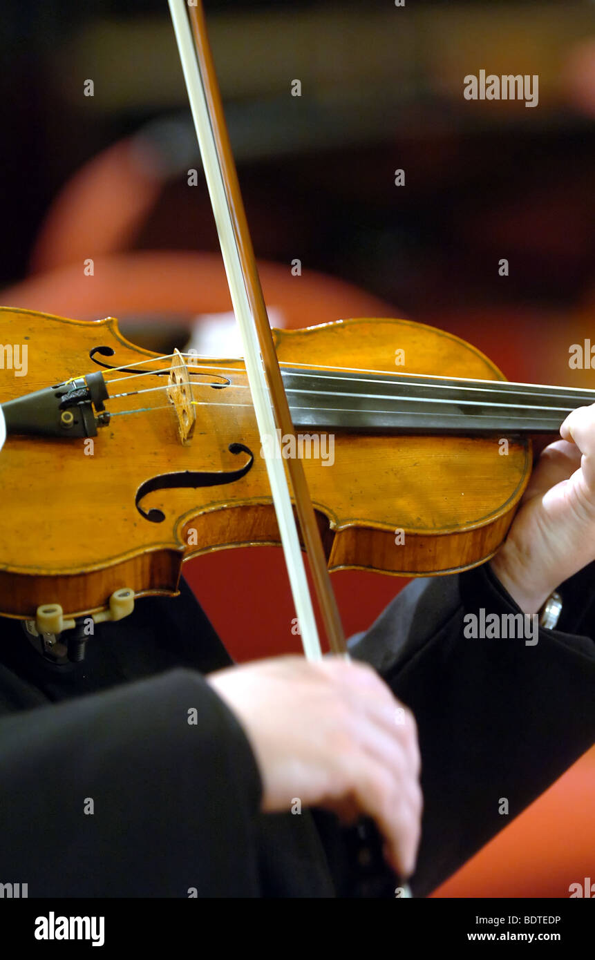 VIOLIN Photo Alan Edwards Stock Photo - Alamy