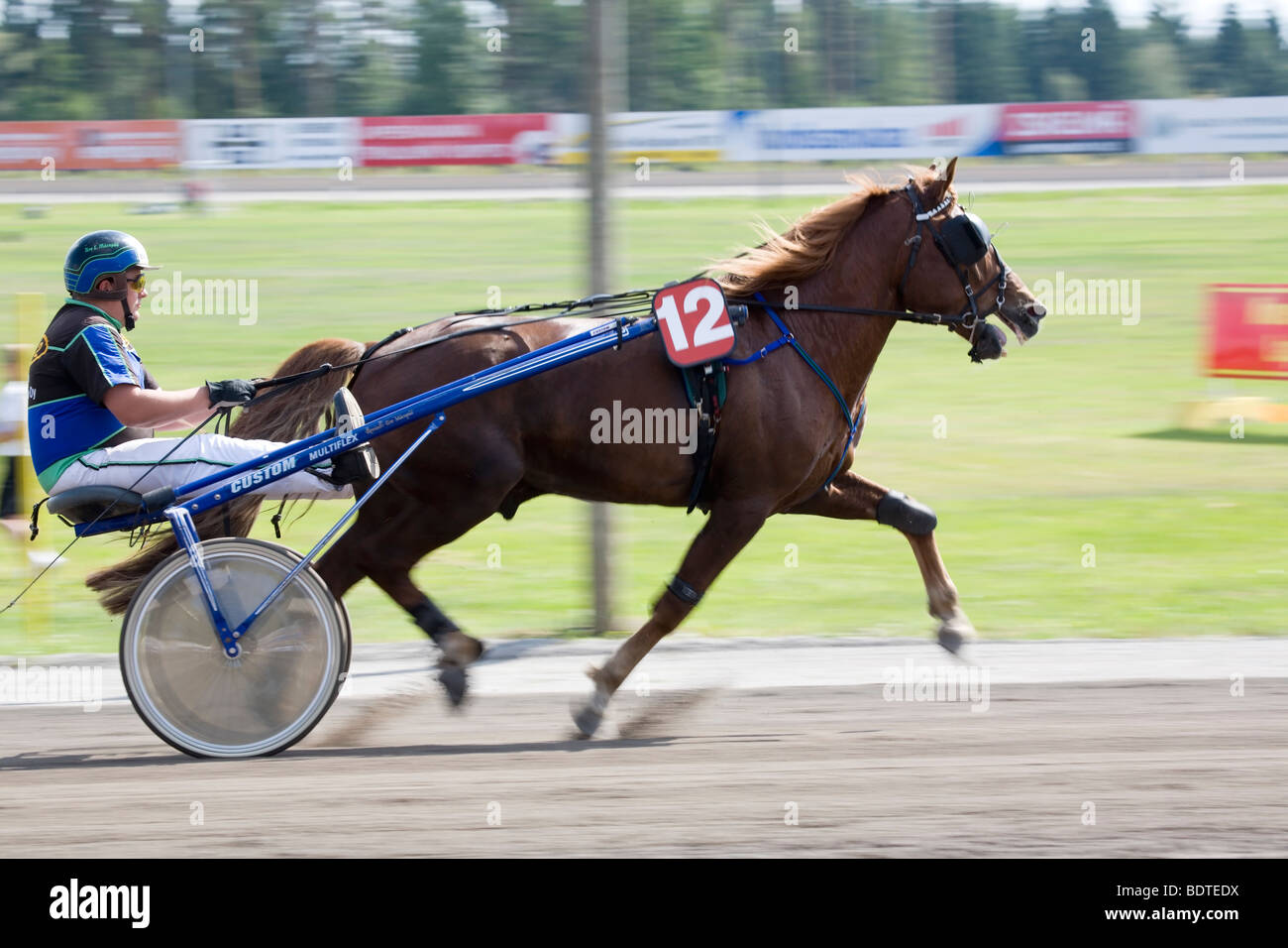 Trotting horse race hi-res stock photography and images - Alamy