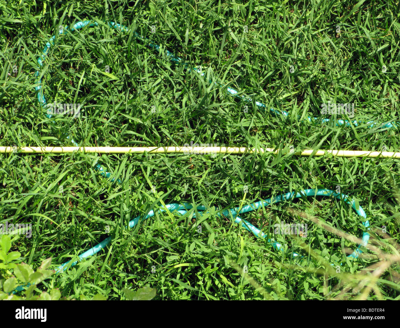 aerial view of two water hose pipes on garden lawn in sun Stock Photo ...