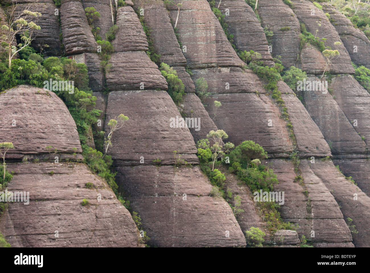 Rock Formations in Monolith Valley, Budawang Ranges, NSW, Australia ...