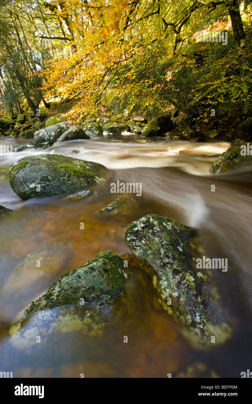 River Plym flowing through Dewerstone Wood in autumn, Dartmoor National ...
