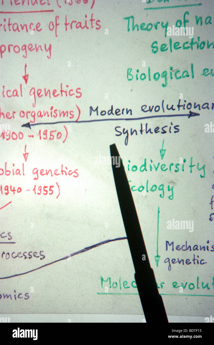 PHYSICS Photo Alan Edwards Stock Photo - Alamy